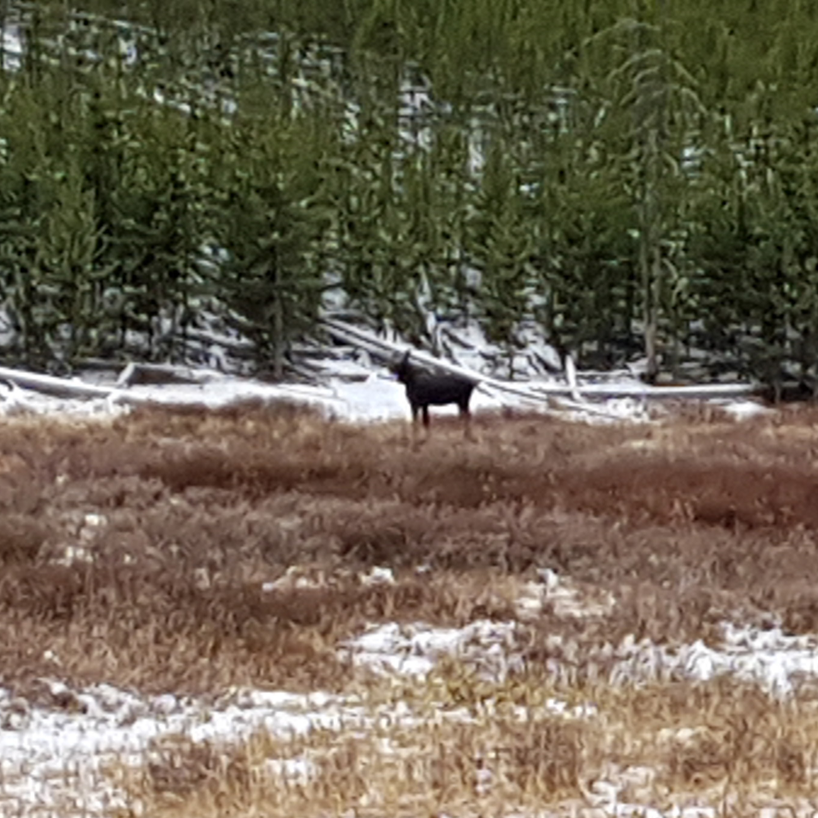 The Beaver Dam – WayPoint Hunting